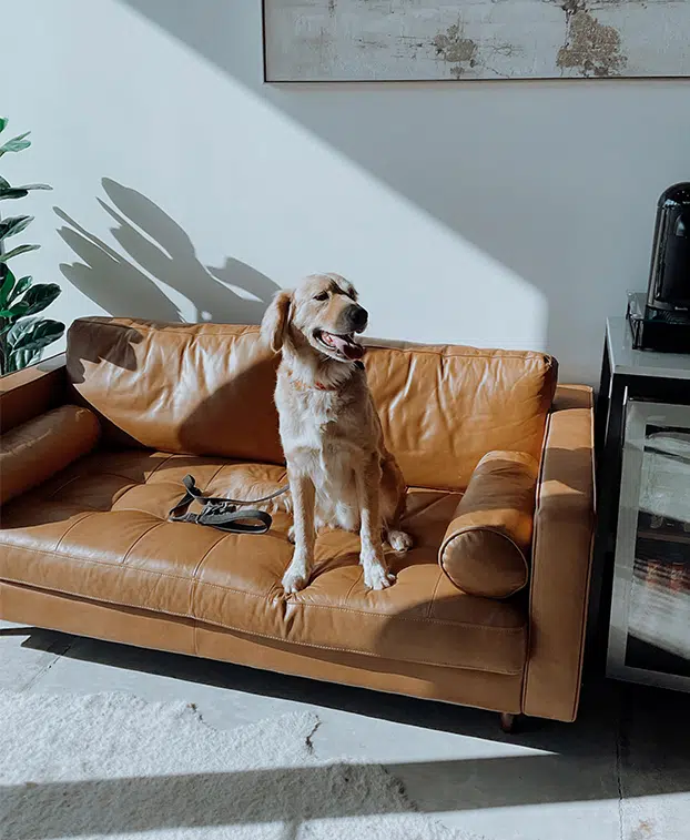 Eye Doctor in Houston | Optometrist Houston | Dry Eye Studio